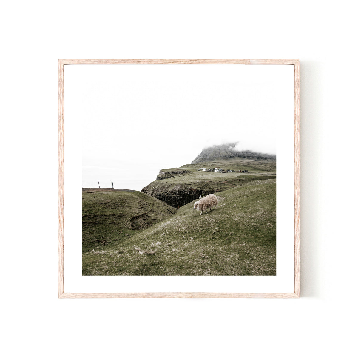 Greenland Sheep – BLACKHAUS STUDIOS